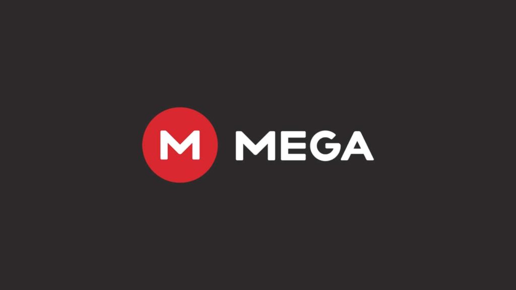 4 Methods to Recover Account for Mega Cloud Service - Data Recovery Pit